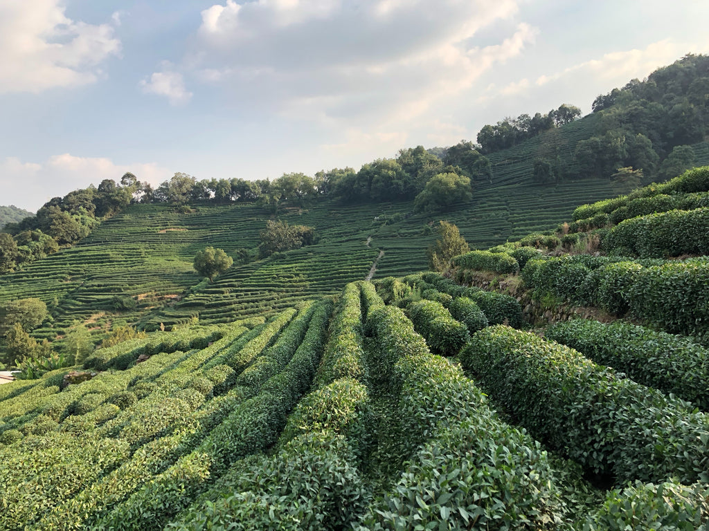 Vitamin and Supplements Store | Sol Nutrition Inc – SOL Nutrition